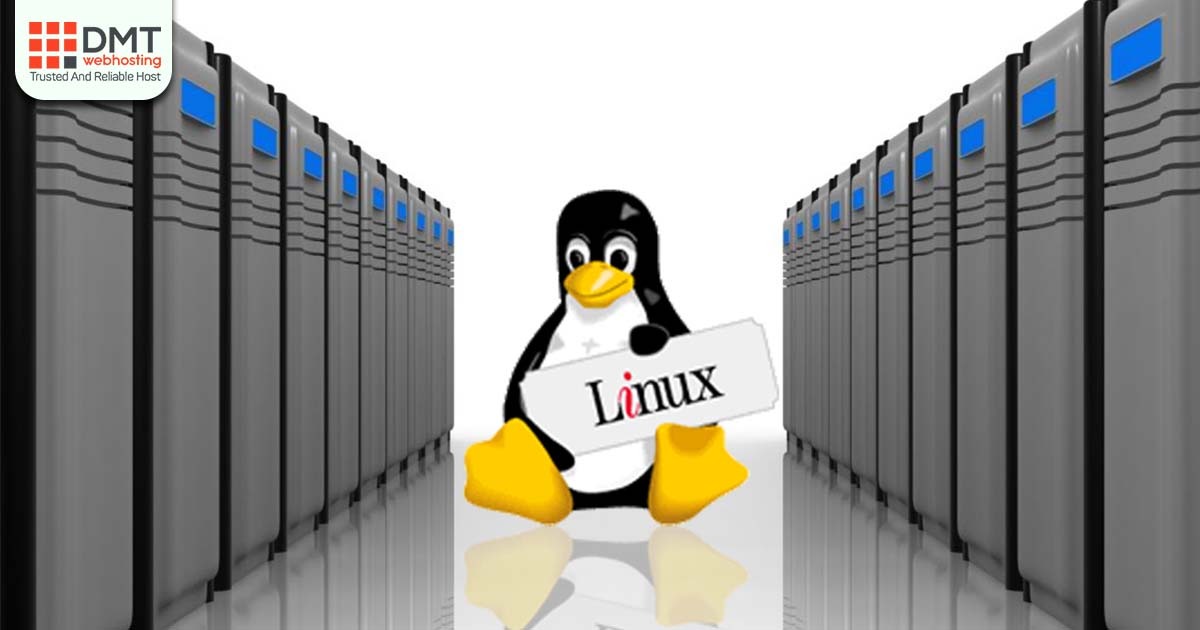 Better Choose A Linux Server For Your Website | Web Hosting In Pakistan ...