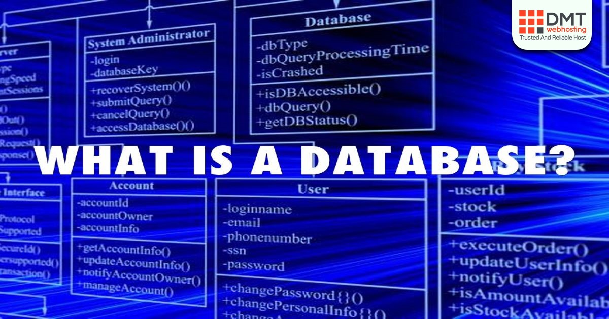 An Introduction To Database? | Web Hosting In Pakistan | Shared Hosting ...